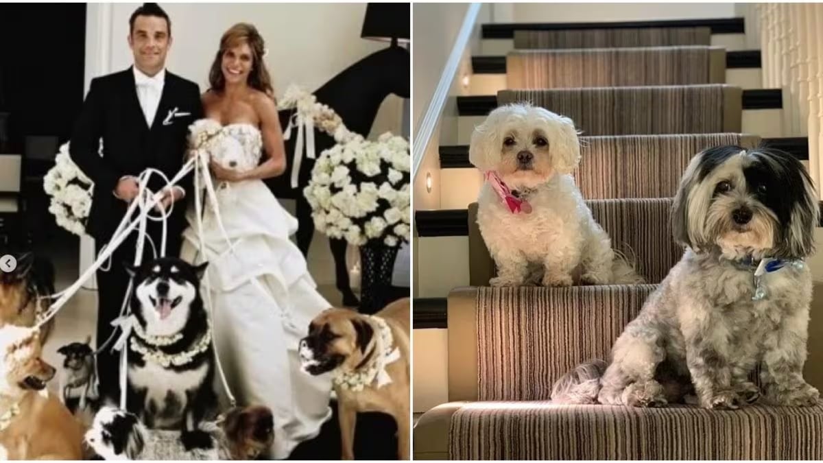 Robbie Williams e Ayda Field in lutto: persi i due cani storici